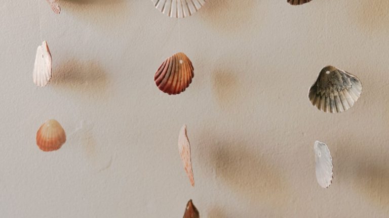 How to Clean Oyster Shells for Crafts: A Simple Guide - Magnetmix