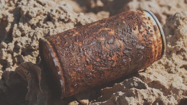 A Guide to Rust Garbage Disposal Care: Preventing Rust